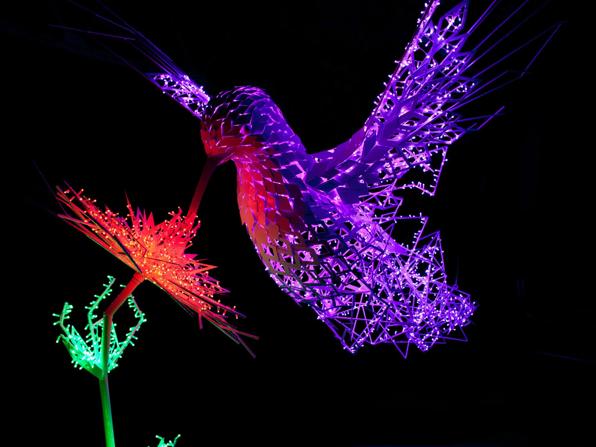 Animated Light | MK Illumination